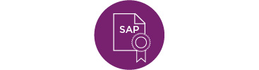 Qlik Gold Client: SAP ERP Test Data Management Simplified